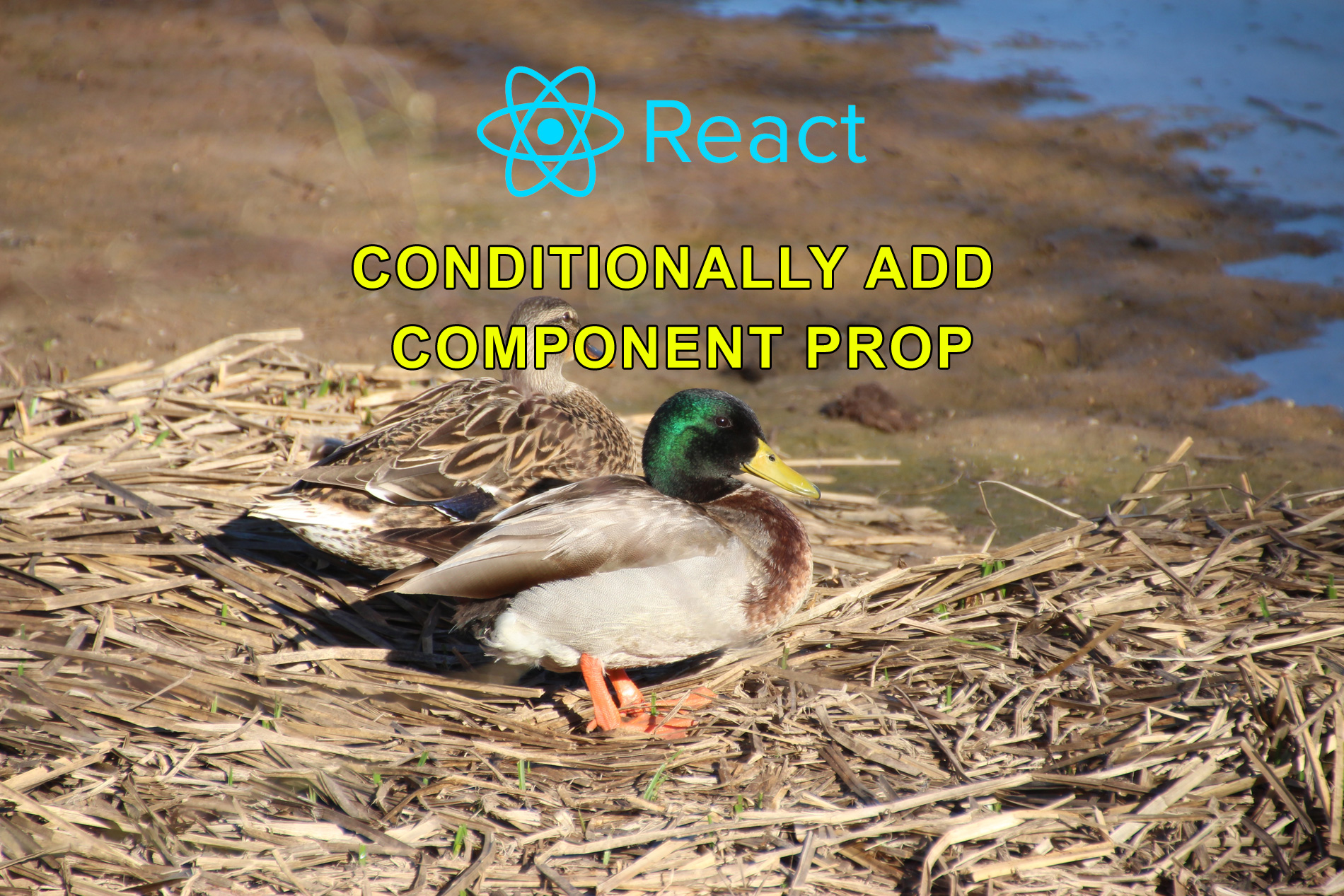 Add Component Prop Based On Condition In Reactjs Kiranvj